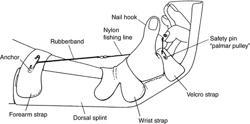 Plastic Surgery Secrets Plus