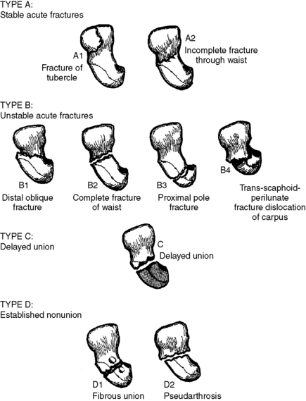 Plastic Surgery Secrets Plus