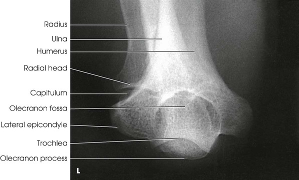 Merrill's Atlas of Radiographic Positioning & Procedures