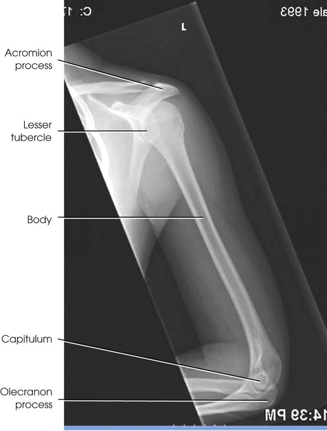 Merrill's Atlas of Radiographic Positioning & Procedures
