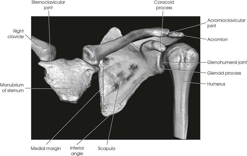 Merrill's Atlas of Radiographic Positioning & Procedures