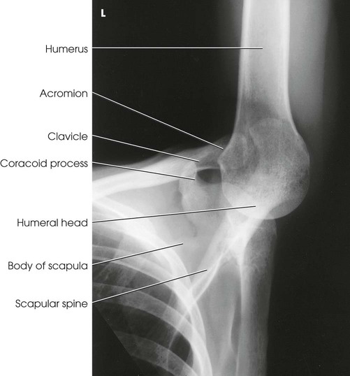 Merrill's Atlas of Radiographic Positioning & Procedures
