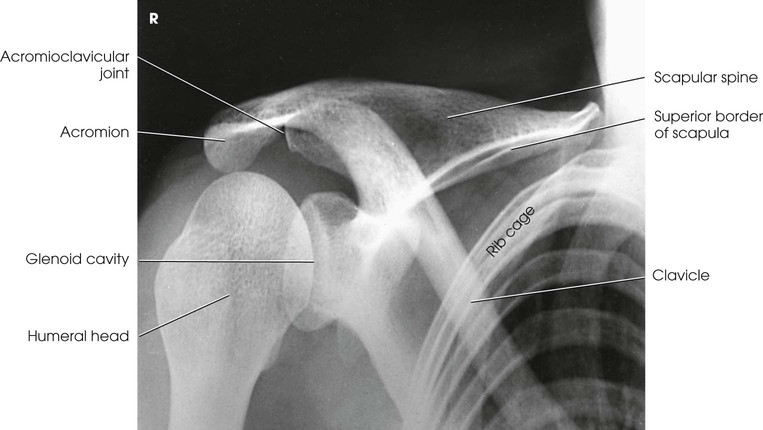 Merrill's Atlas of Radiographic Positioning & Procedures