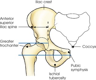 Merrill's Atlas of Radiographic Positioning & Procedures