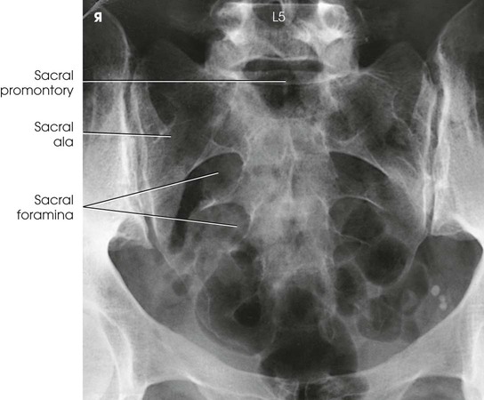 Merrill's Atlas of Radiographic Positioning & Procedures