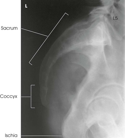 Merrill's Atlas of Radiographic Positioning & Procedures