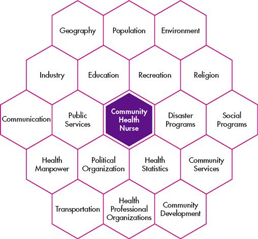 Community/Public Health Nursing