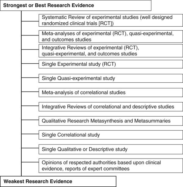 Understanding Nursing Research: Building an Evidence-Based Practice