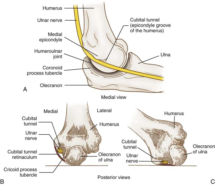 Alexander's Care of the Patient in Surgery