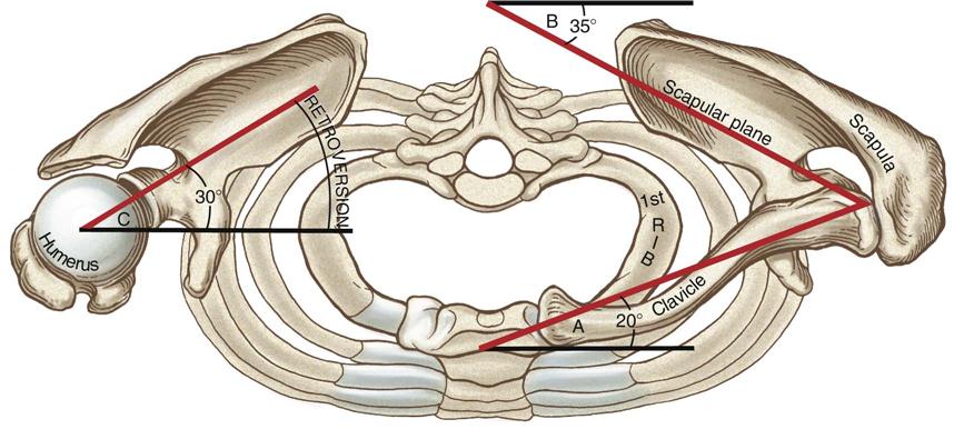 Orthopedic Physical Assessment