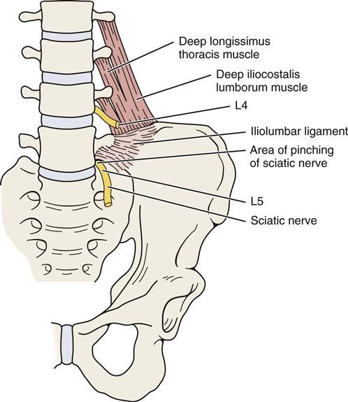 Orthopedic Physical Assessment