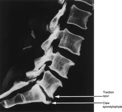 Orthopedic Physical Assessment