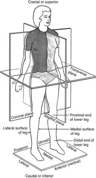 A Manual of Orthopaedic Terminology