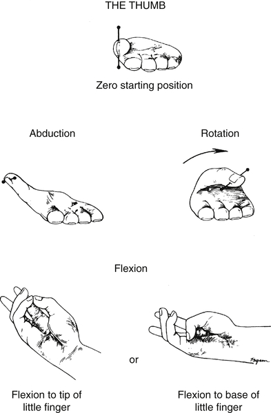 A Manual of Orthopaedic Terminology