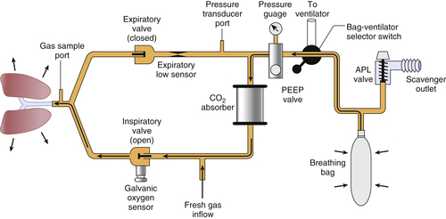 Miller’s Anesthesia