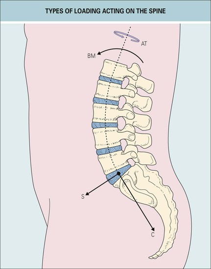 Biomechanics of the spine