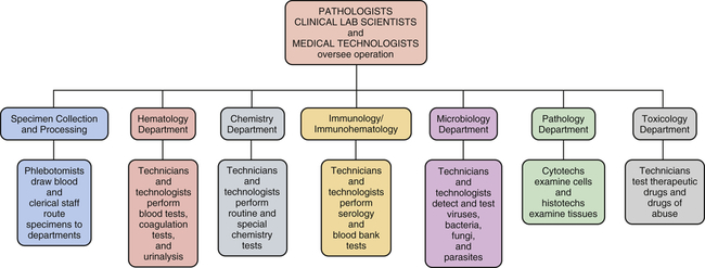 Laboratory and Diagnostic Testing in Ambulatory Care: A Guide for ...