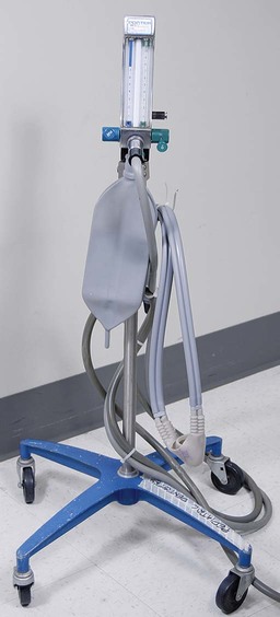 Dental Hygiene: Theory and Practice