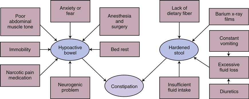 Fundamental Concepts and Skills for Nursing