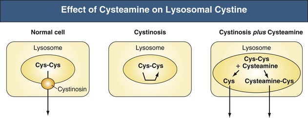 Comprehensive Clinical Nephrology