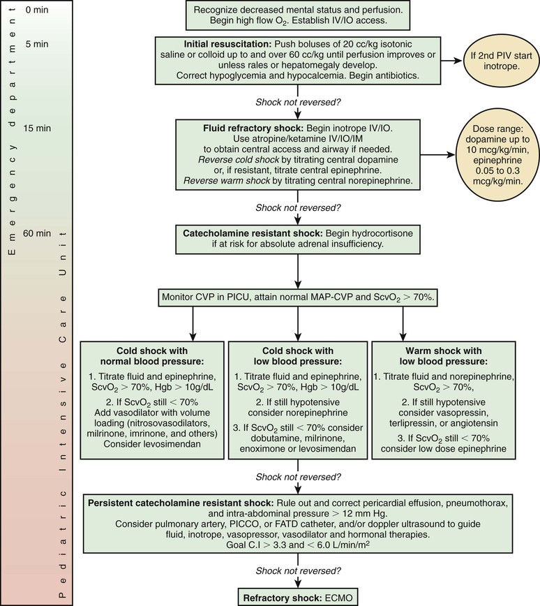 Nelson Textbook of Pediatrics