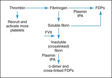Principles of Blood Coagulation