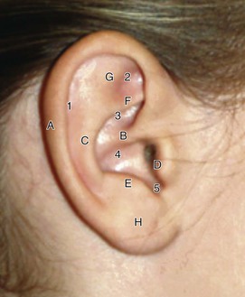 Cummings Pediatric Otolaryngology