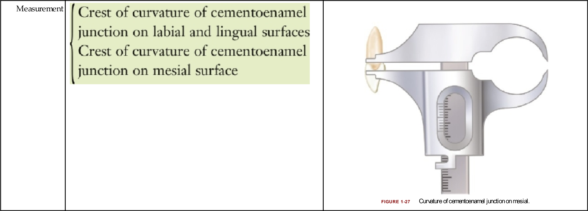 Wheeler’S Dental Anatomy, Physiology, and Occlusion