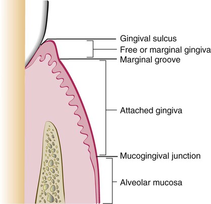 Carranza's Clinical Periodontology