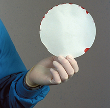 Phlebotomy Worktext and Procedures Manual