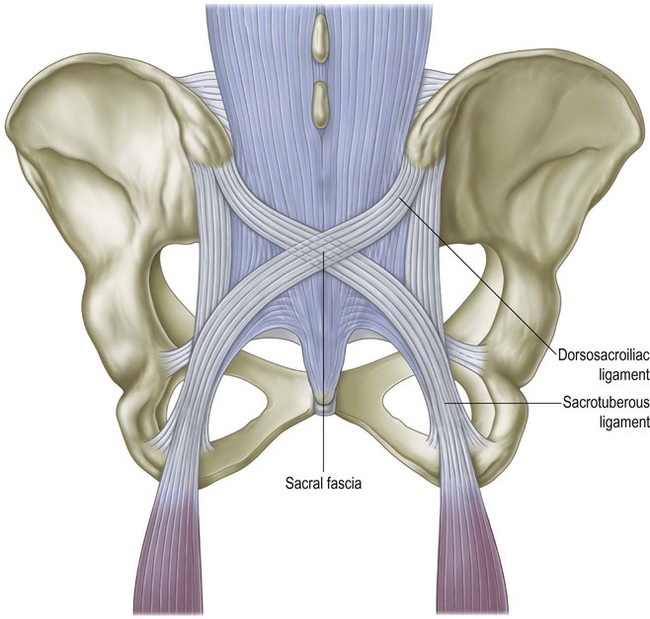 Anatomy® Trains: Myofascial Meridians for Manual and Movement Therapists