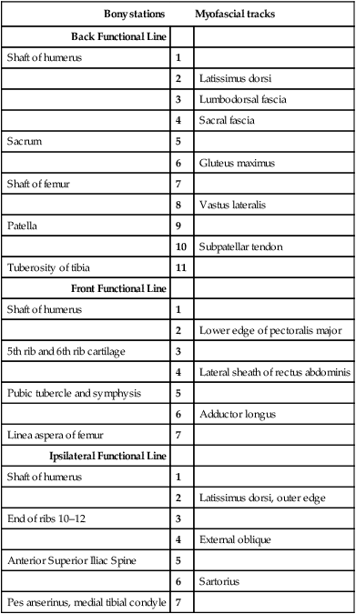 Anatomy® Trains: Myofascial Meridians for Manual and Movement Therapists