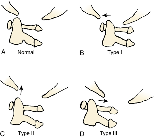 Textbook of the Cervical Spine