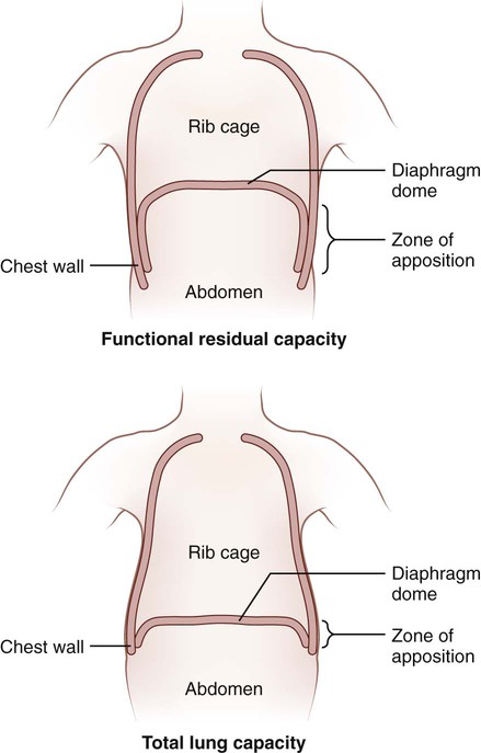 Murray & Nadel's Textbook of Respiratory Medicine