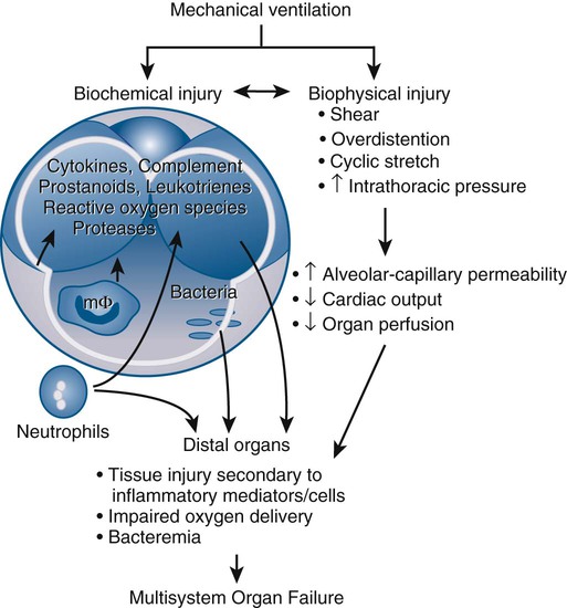 Murray & Nadel's Textbook of Respiratory Medicine