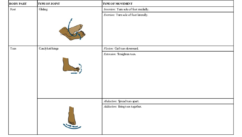 Body Mechanics and Patient Mobility