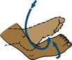 Body Mechanics and Patient Mobility