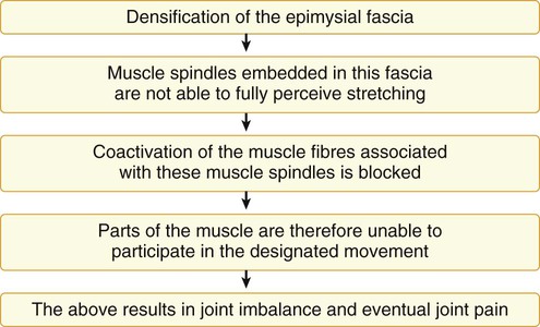Functional Atlas of the Human Fascial System