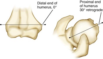 Shoulder Anatomy and Biomechanics