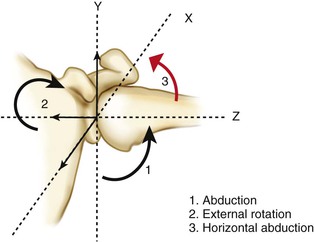Shoulder Anatomy and Biomechanics