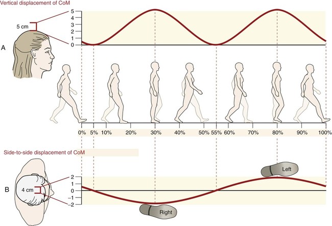 Essentials of Kinesiology for the Physical Therapist Assistant