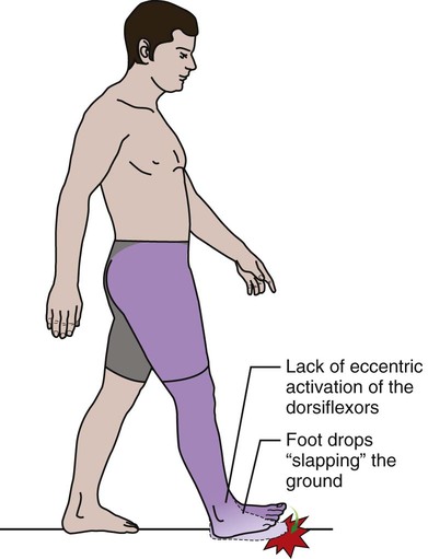 Essentials of Kinesiology for the Physical Therapist Assistant