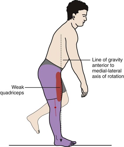 Essentials of Kinesiology for the Physical Therapist Assistant