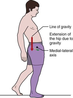 Essentials of Kinesiology for the Physical Therapist Assistant