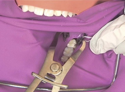 Modern Dental Assisting