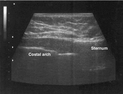 Essentials of Physical Medicine and Rehabilitation
