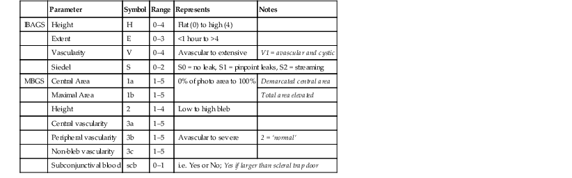 Tenon's Cyst Formation, Wound Healing, and Bleb Evaluation