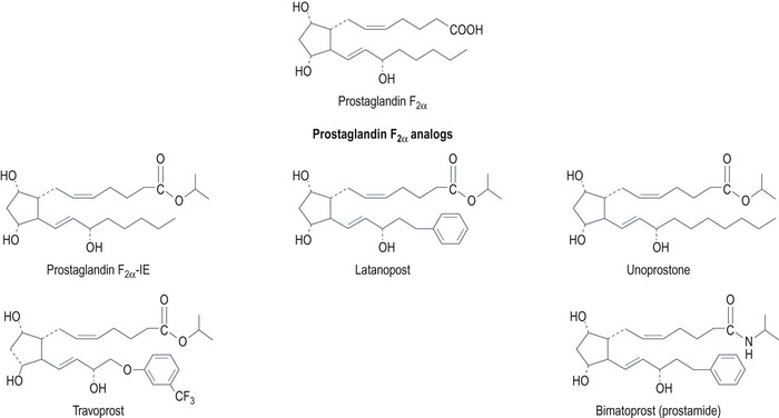Prostaglandin Analogues