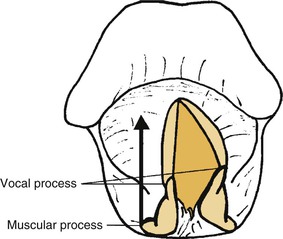 Cummings Otolaryngology