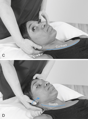 Mosby’s Stretching Pocket Guide